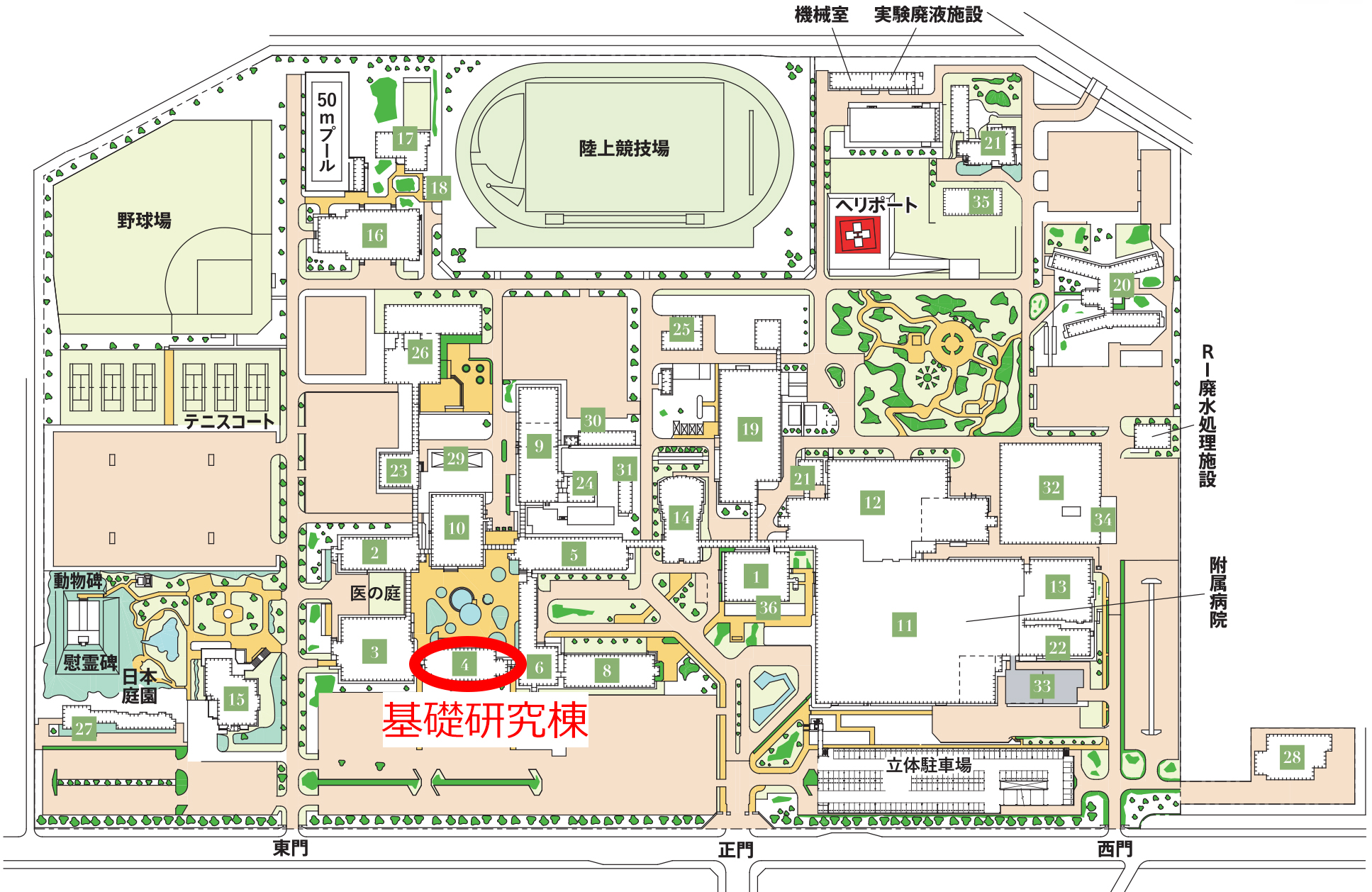 連絡先・アクセス – 島根大学医学部解剖学講座（神経科学）